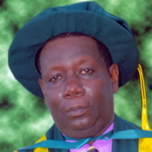 Mr. O'Neil Greaves | Faculty of Social Sciences